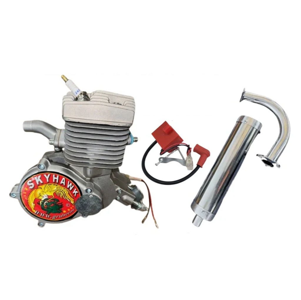 Motorized Bicycle Engine Kits - Electric, 80CC, 66CC, 49CC Engine Kits ...
